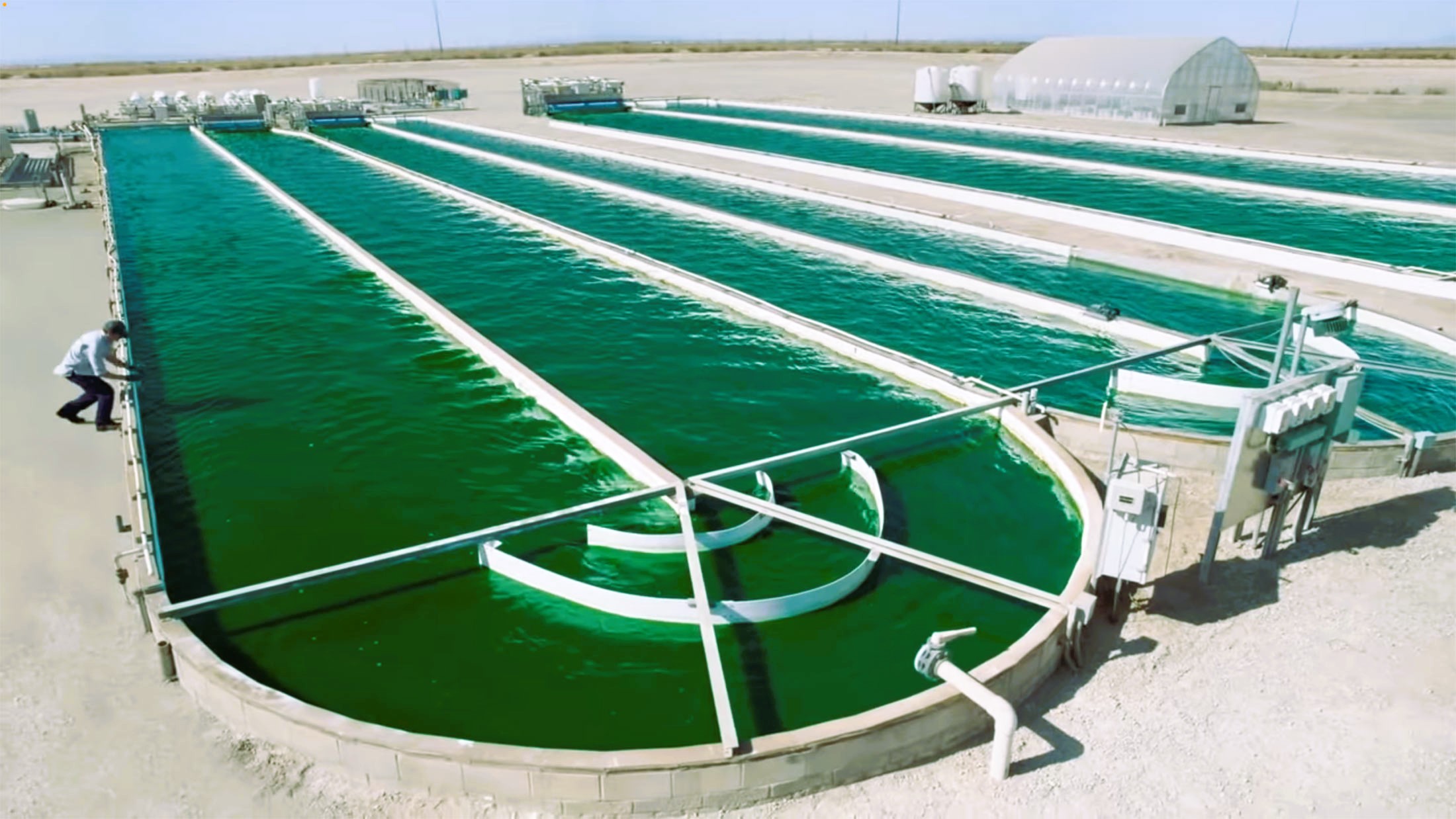 Montreal Scientists Propel the Future with Groundbreaking Advances in ...